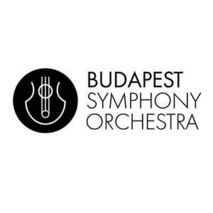 Budapest Symphony Orchestra 布达佩斯交响乐团 - 艺人资料与音乐作品 | 唱片星球 Record Star